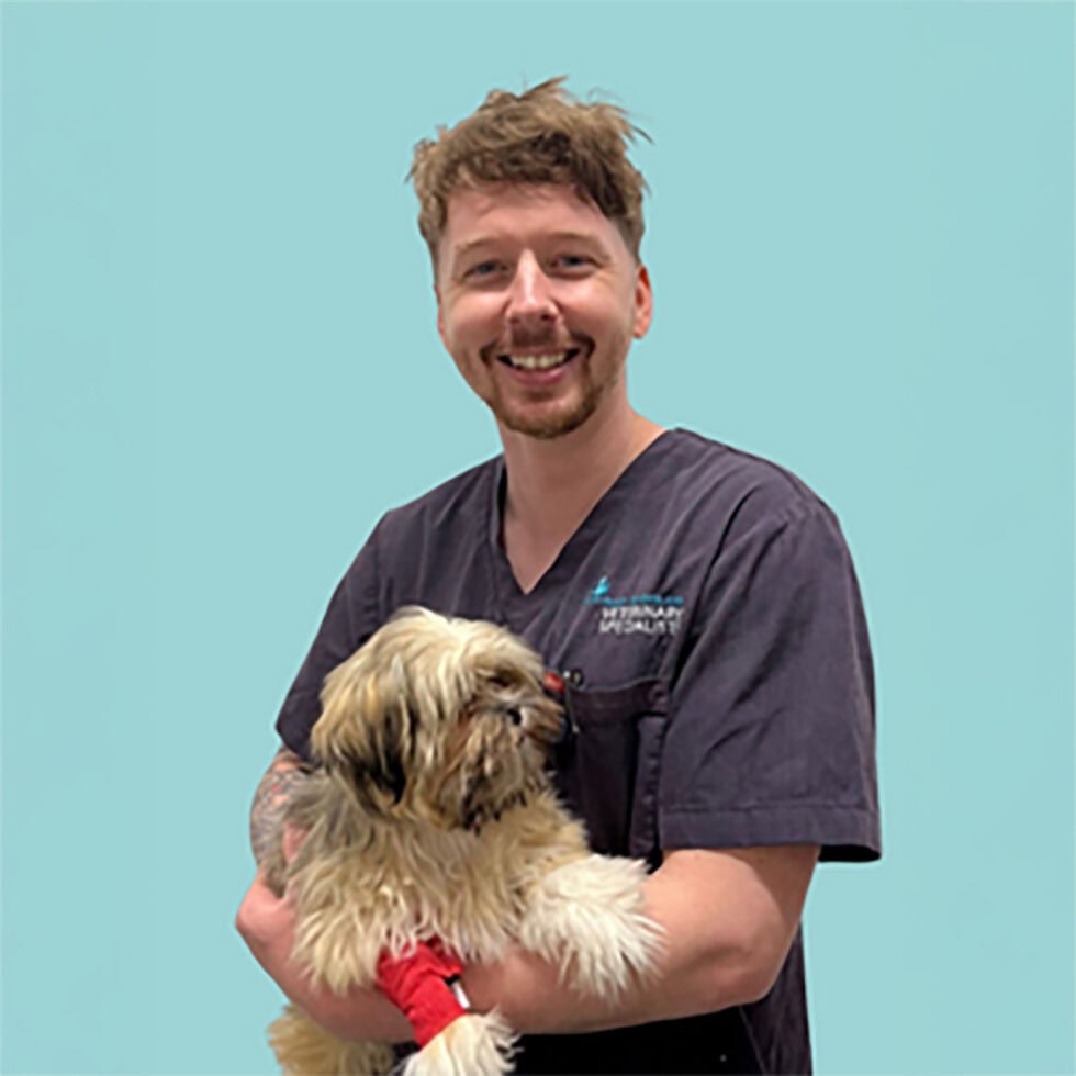 Dan - East of England Veterinary Specialists